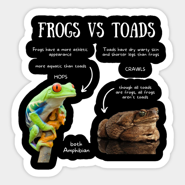 Animal Facts- Frogs vs Toads - Frog - Sticker | TeePublic